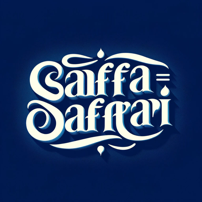 A Look into the Life and Career of Safa Saffari - Chicago Reporter